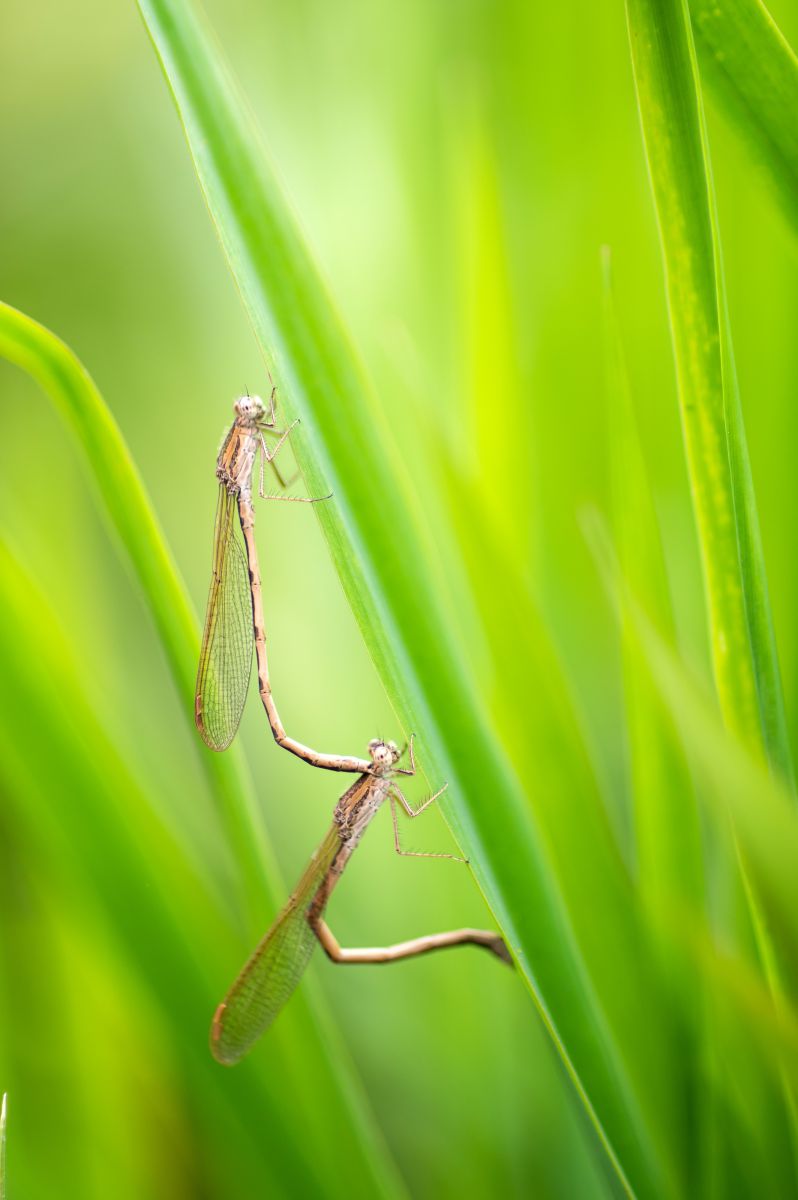 Cloudy Couple | GANREF