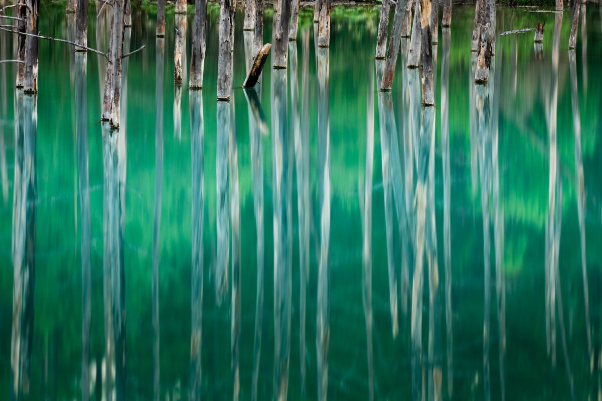 GreenPondReflection | GANREF