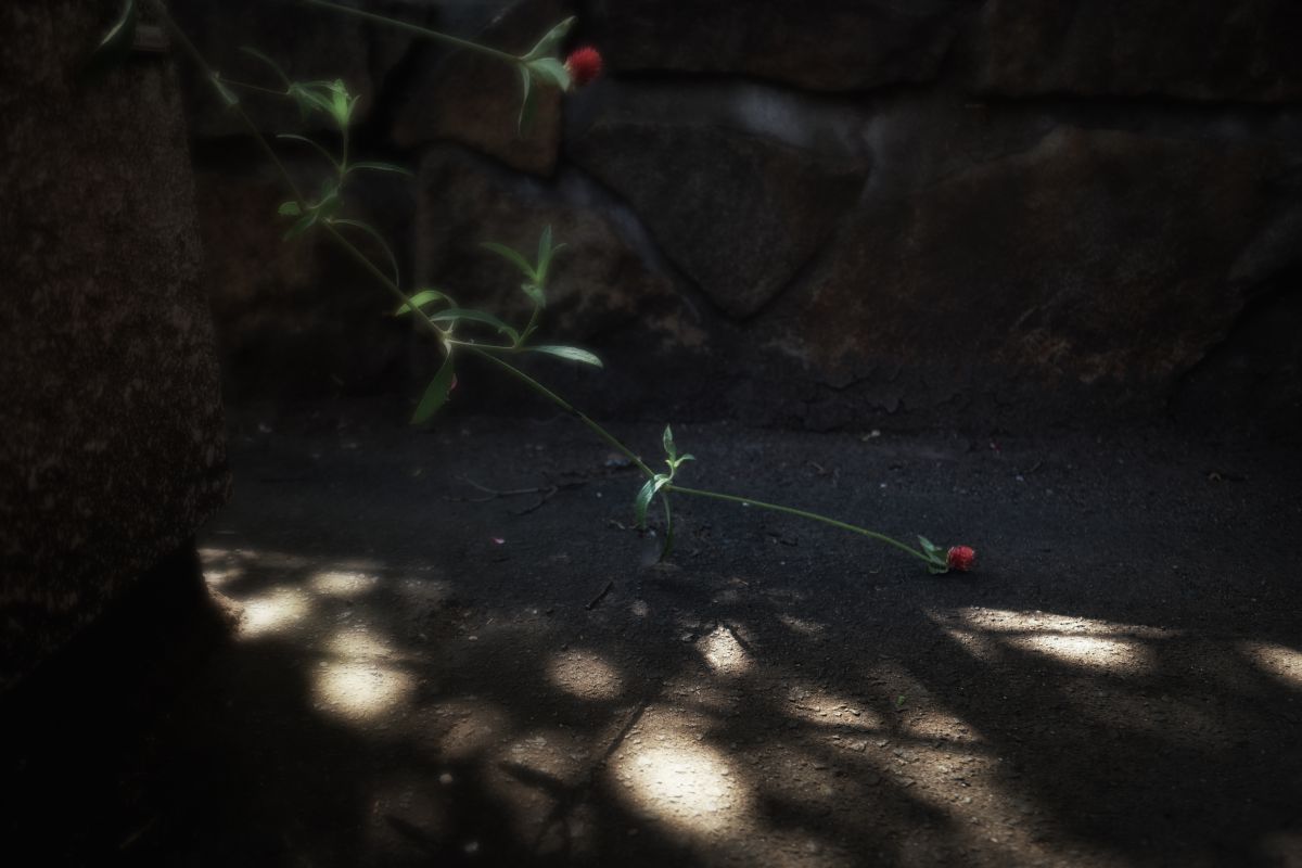 日常の陰に | GANREF