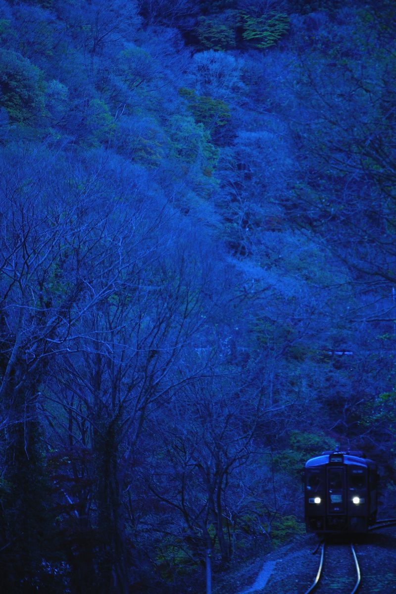 Blue forest | GANREF