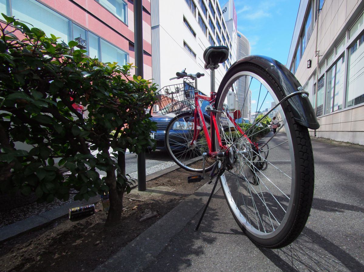 Red Bicycle | GANREF