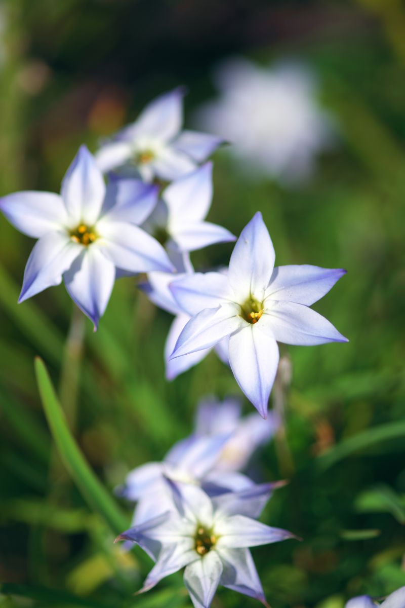 DSC09815_1.jpg | GANREF