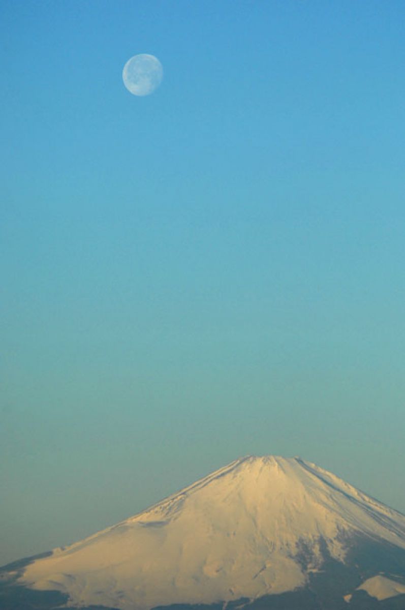 Morning Moon | GANREF