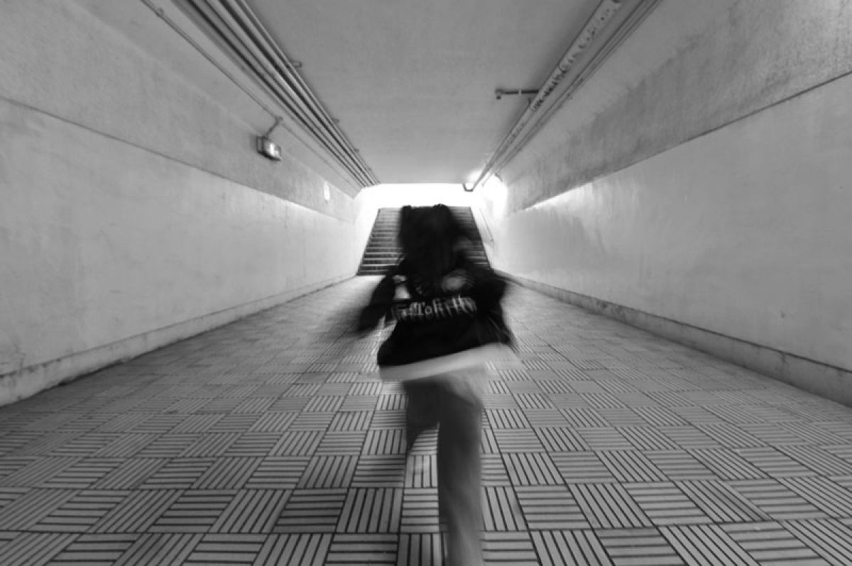 DASH! DASH! | GANREF