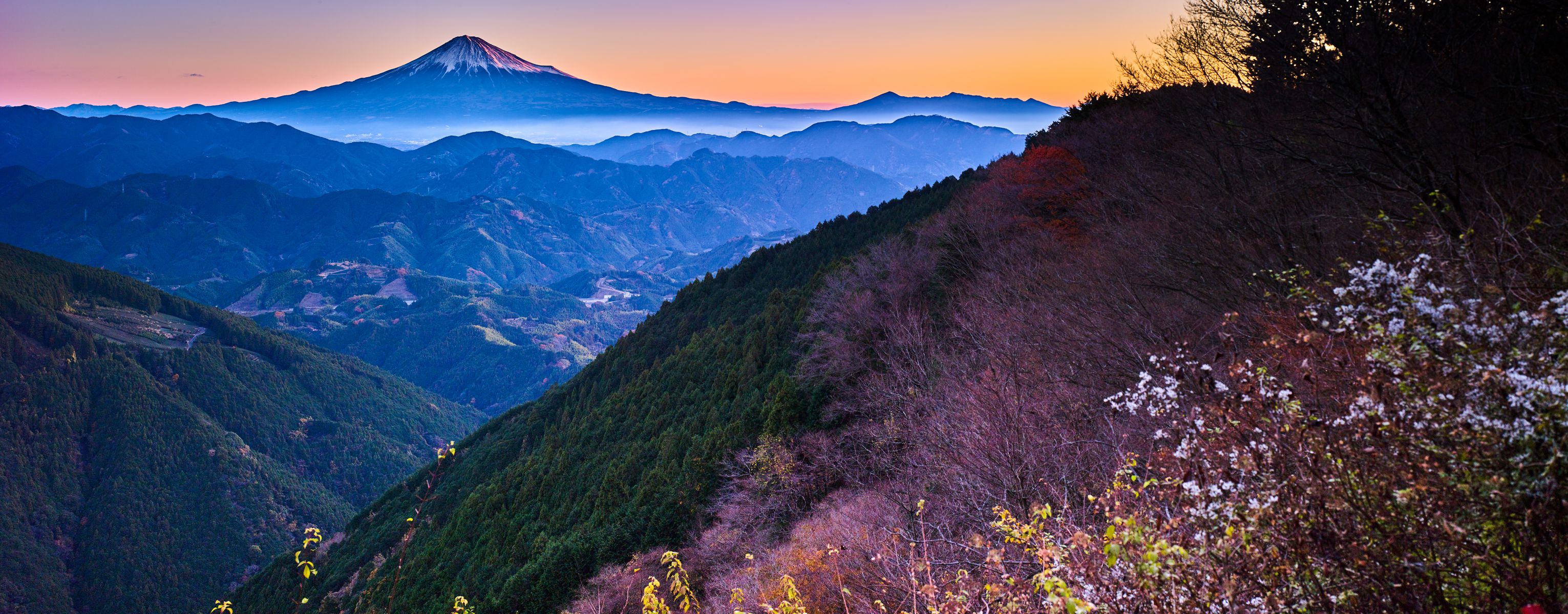 -1970-01-01 00.18.19leaf_00108225_1970-0 | GANREF