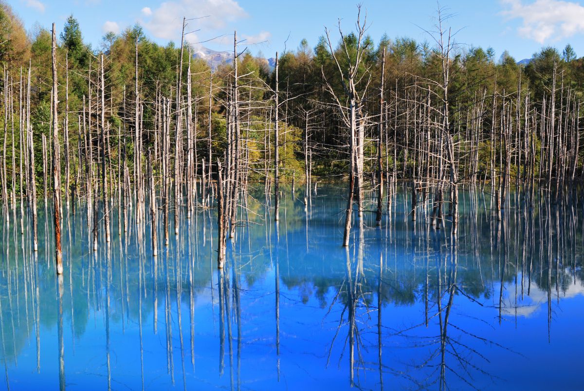 blue surface | GANREF