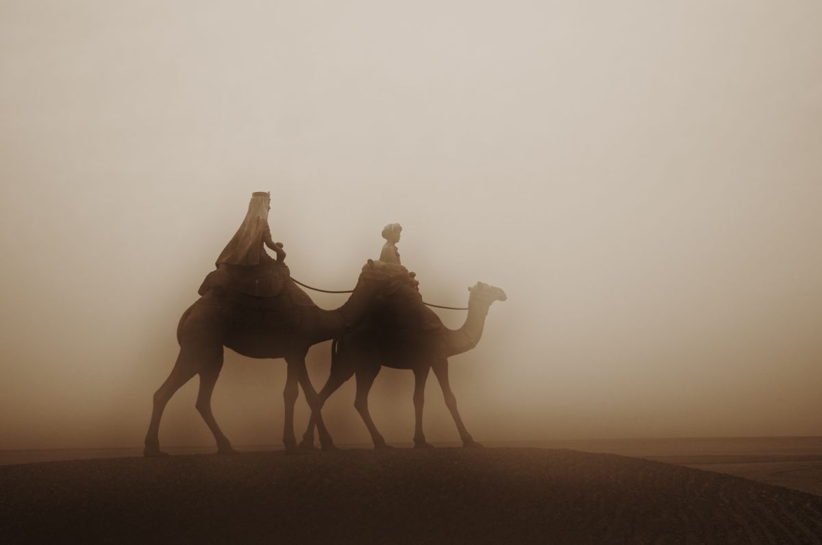 "How can I cross the desert?" | GANREF