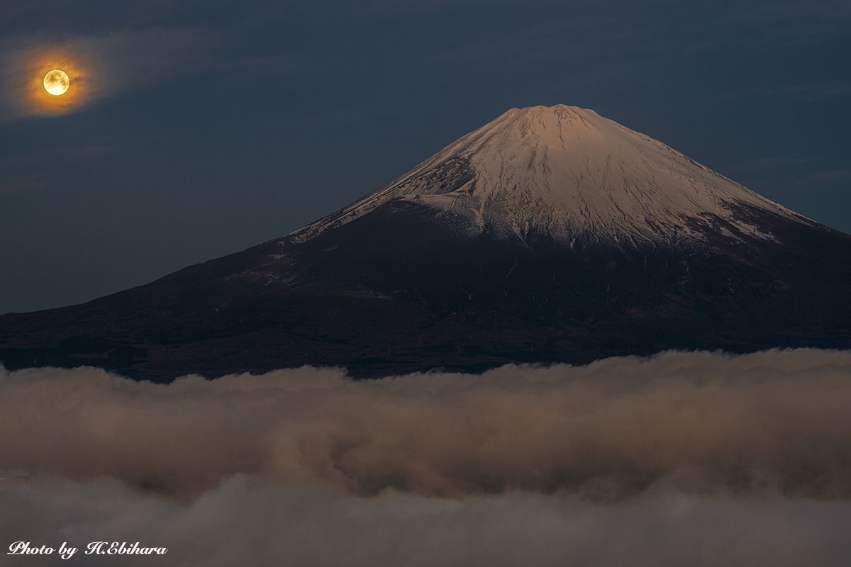 Moonlight Sonata | GANREF