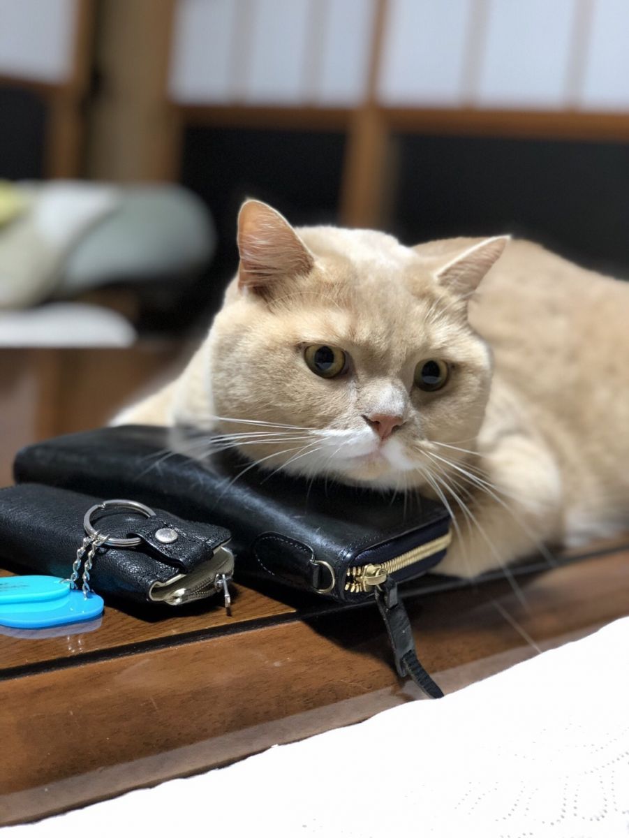 何か気配が | GANREF