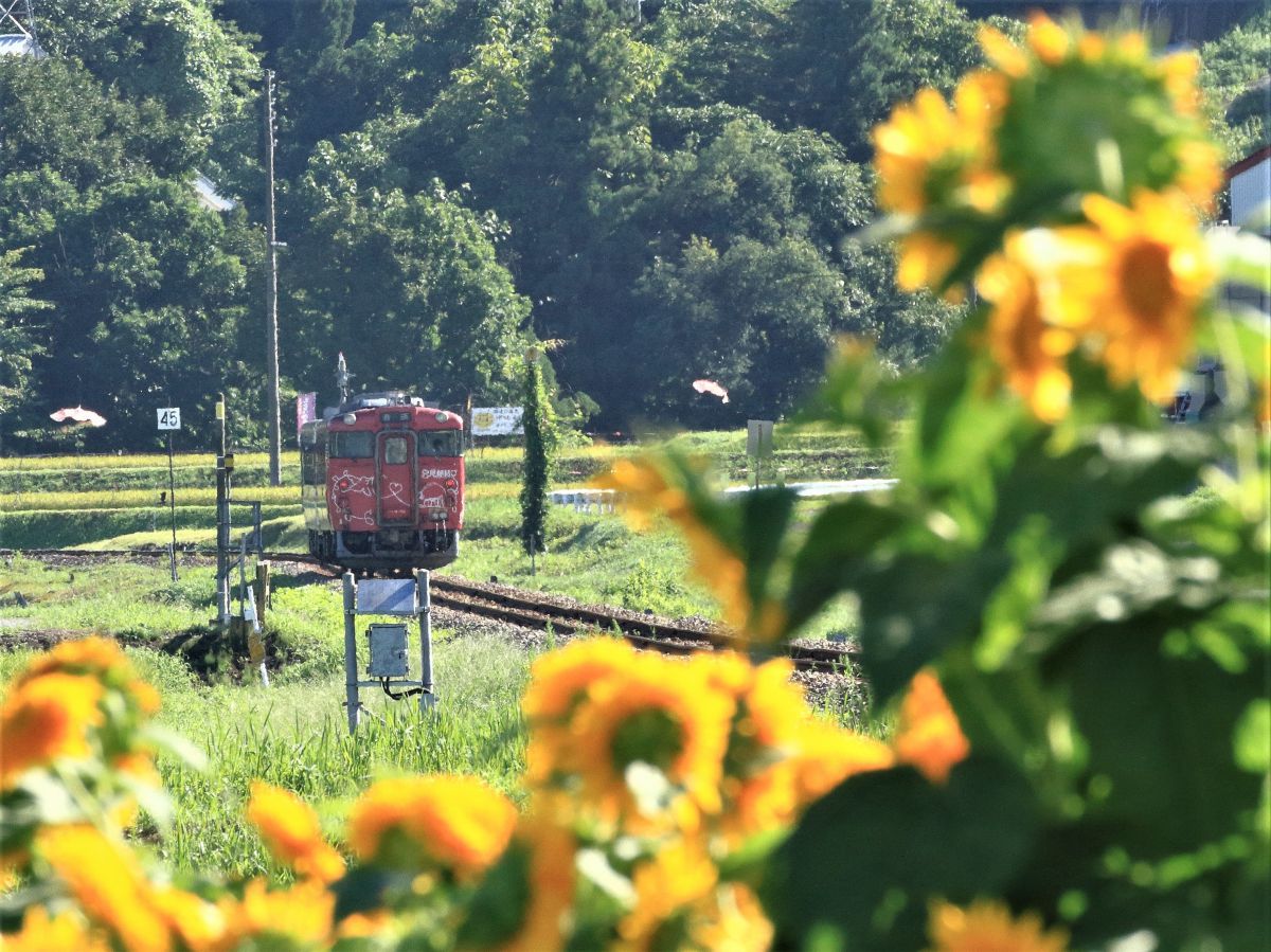 good-bye summer | GANREF