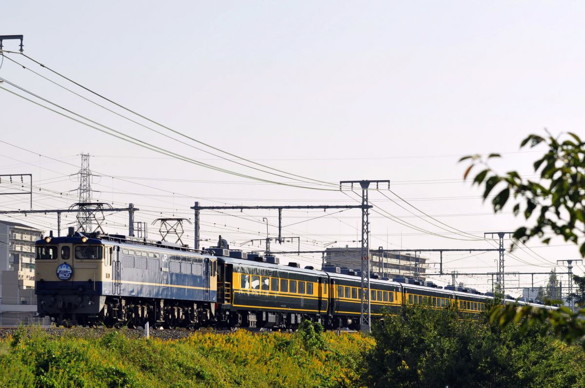 "Joyful"トレイン | GANREF