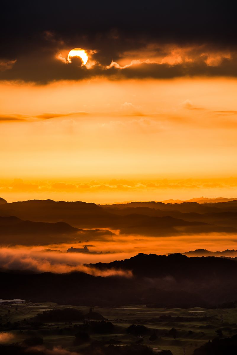 Resumption：Fly Away | GANREF