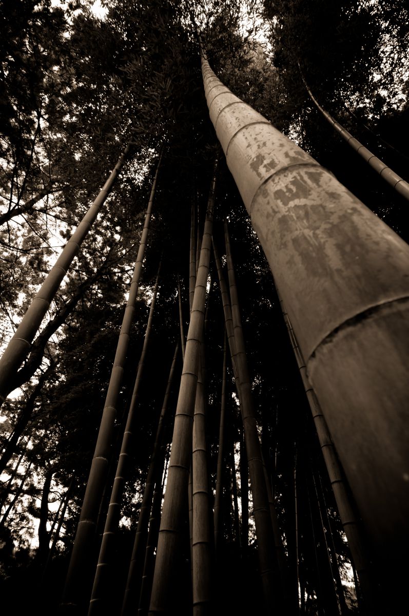 I don't like Monday | GANREF