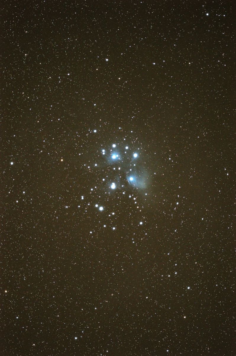 冬の使者 | GANREF