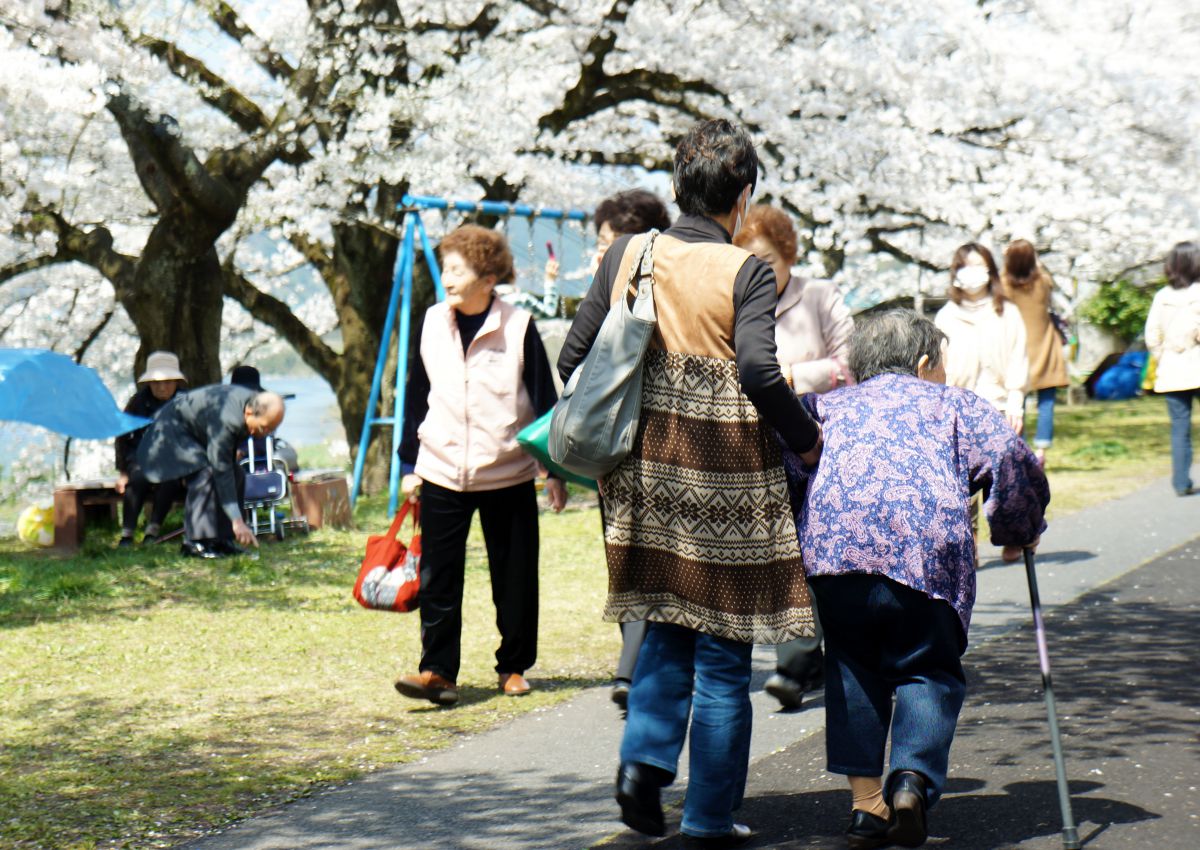 Sakura...with | GANREF