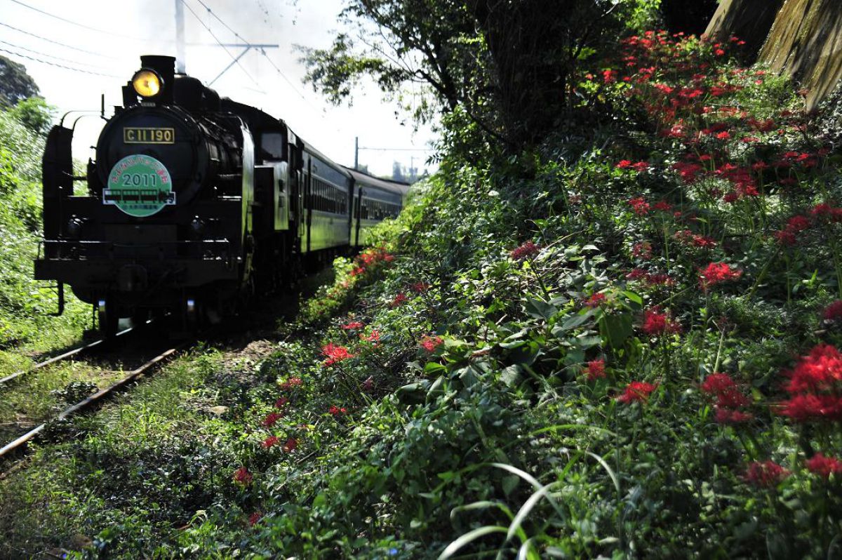 2011_09_24 1001ﾚ 五和-神尾 (1) | GANREF