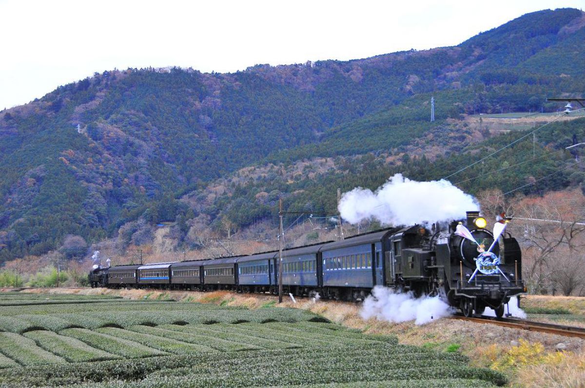 2012_01_01 102ﾚ 抜里 D300 | GANREF