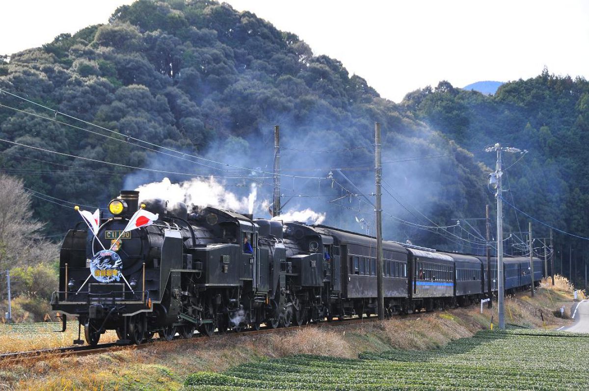 2012_01_01 101ﾚ 抜里 D300 | GANREF