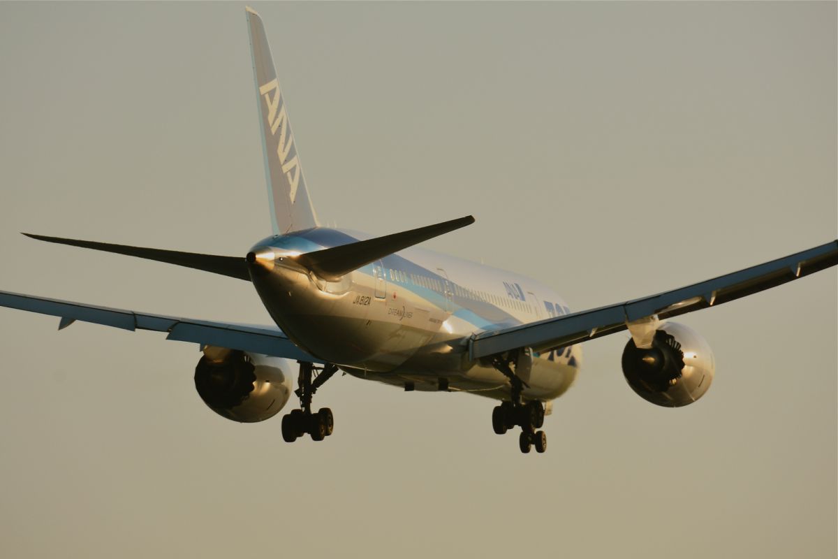 Clear To Land | GANREF