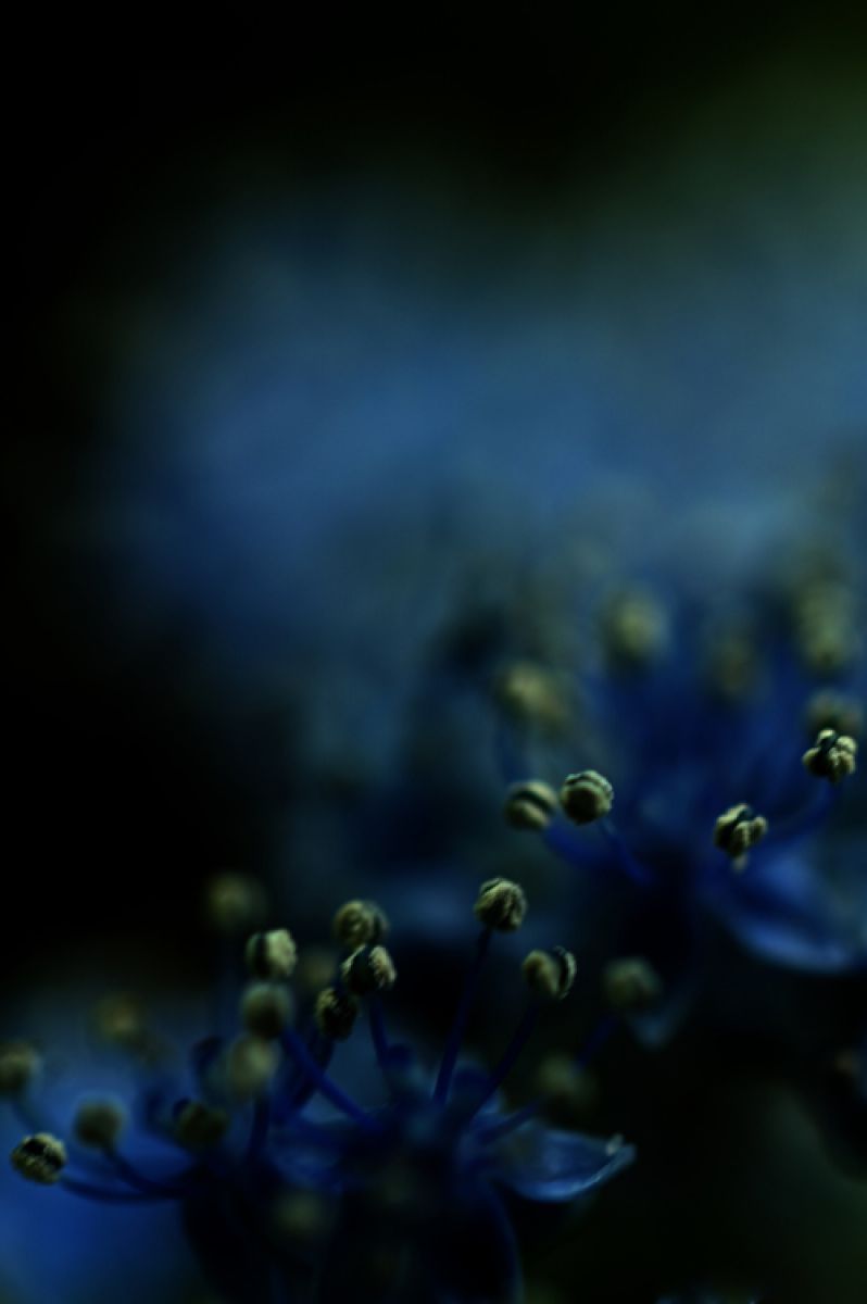 change of mind | GANREF