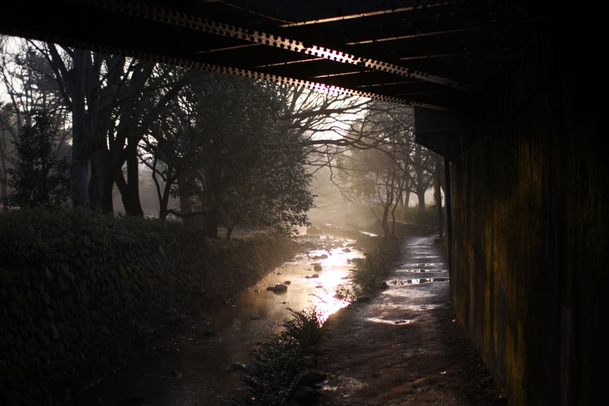 (What's the story)morning glory? | GANREF