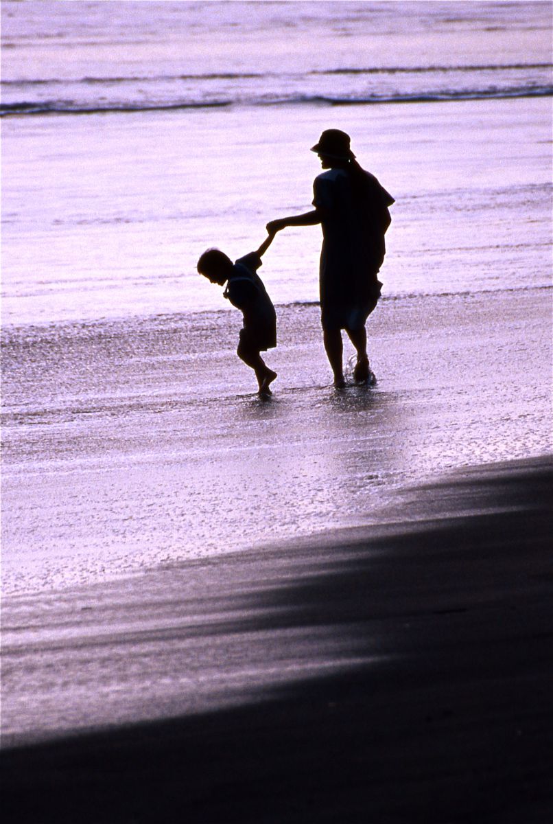 渚の親子 | GANREF