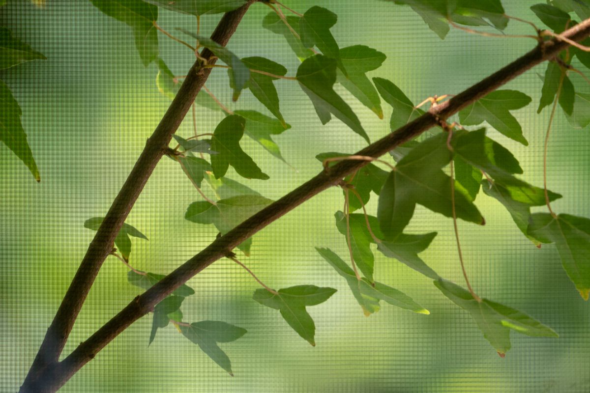 [Green Grid] | GANREF