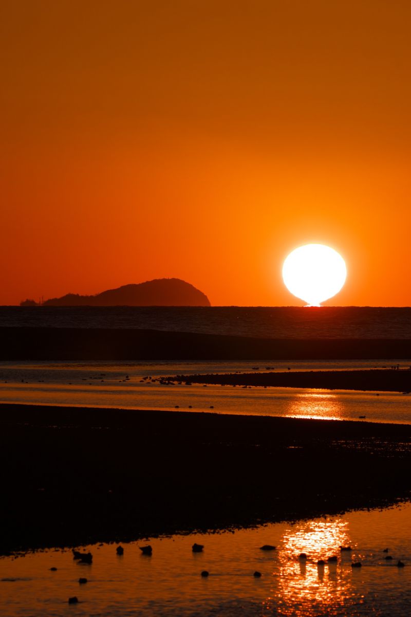 ティーアップ⁈ | GANREF