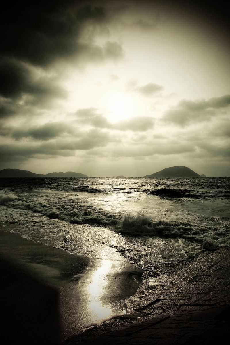 After the Typhoon | GANREF