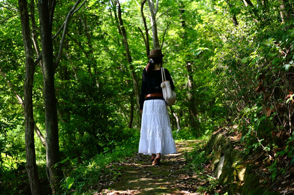 森の中で | GANREF