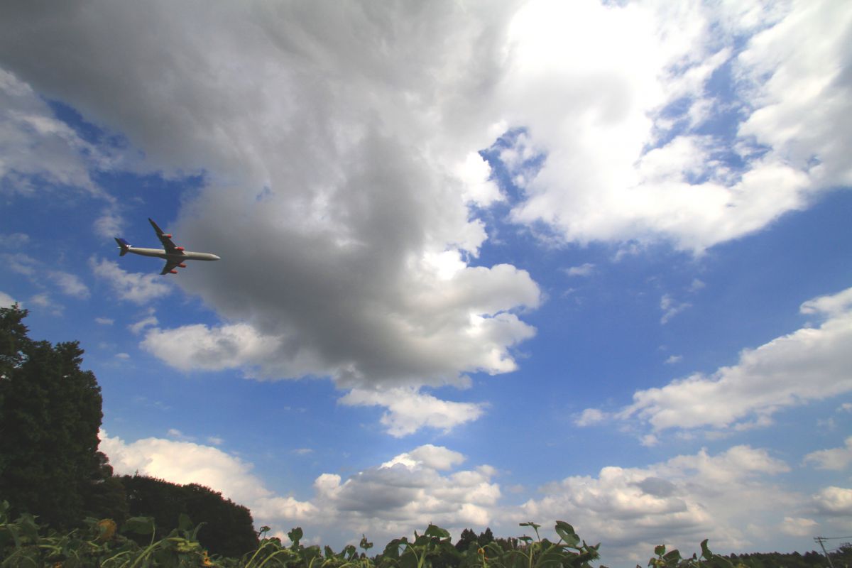 秋空の340 | GANREF