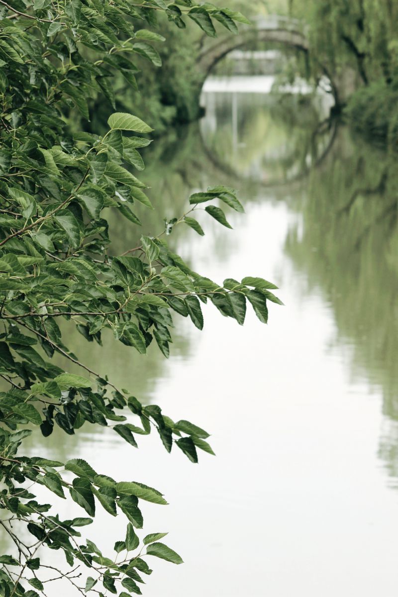 Chinese Bridge | GANREF