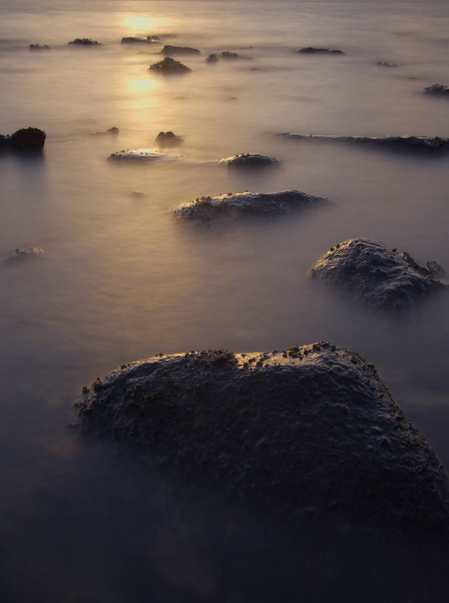 Ocean View 』 | GANREF