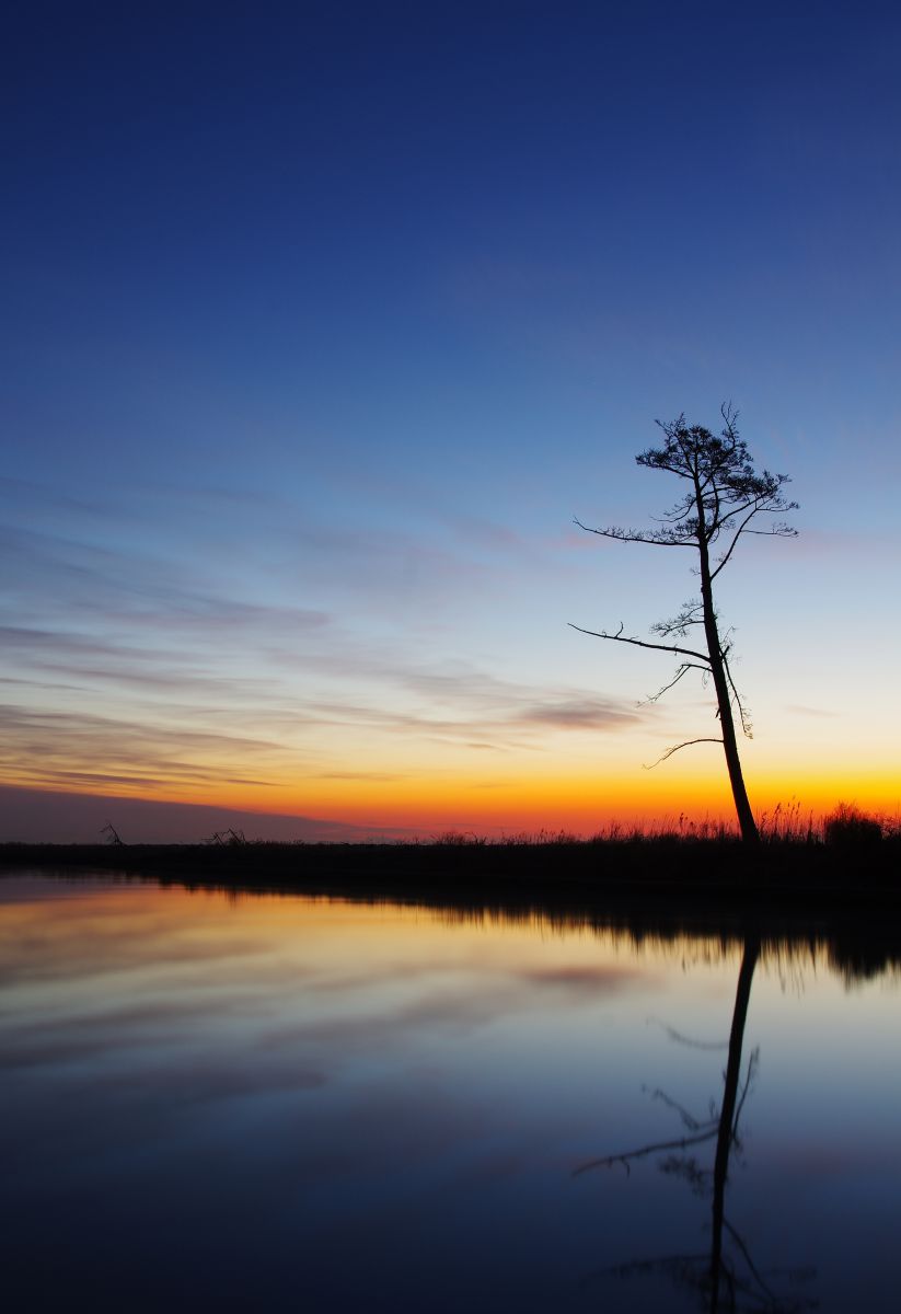 not Alone... | GANREF