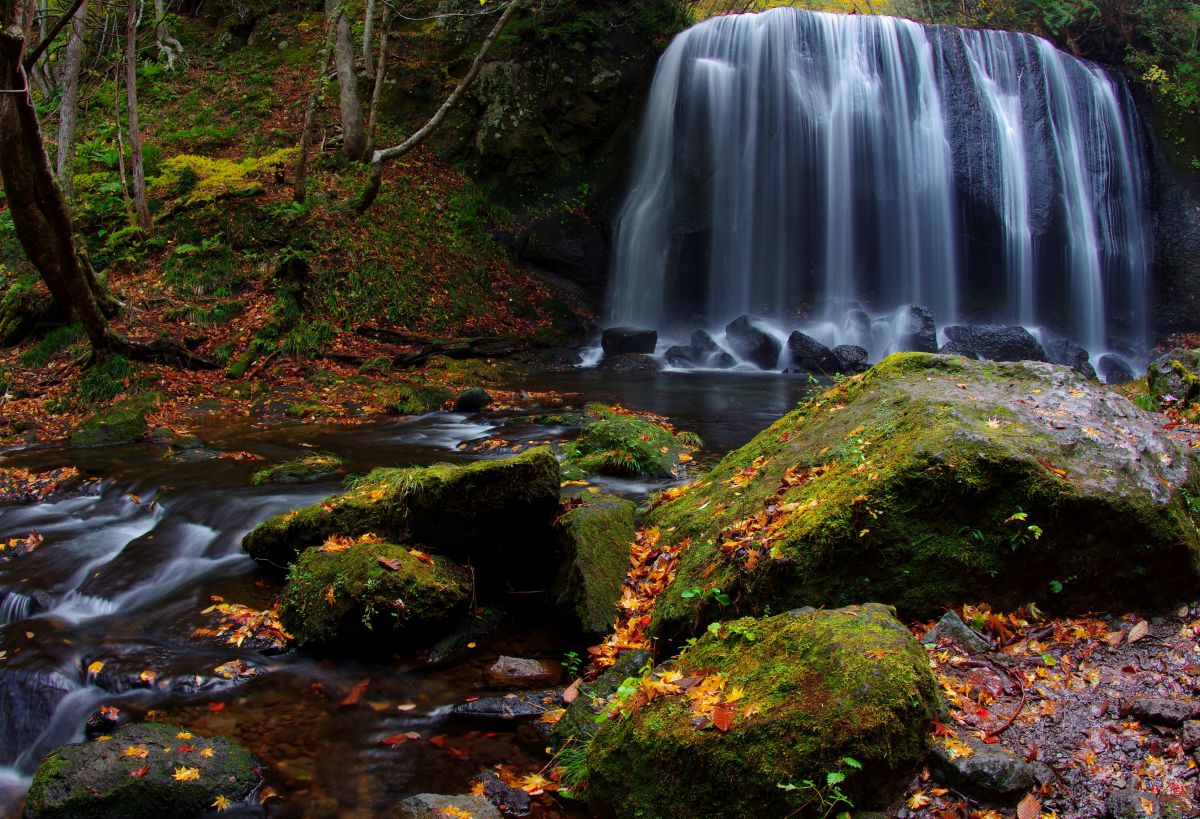 Autumun Fall | GANREF