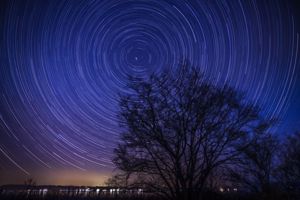 Star trail on the tree | GANREF