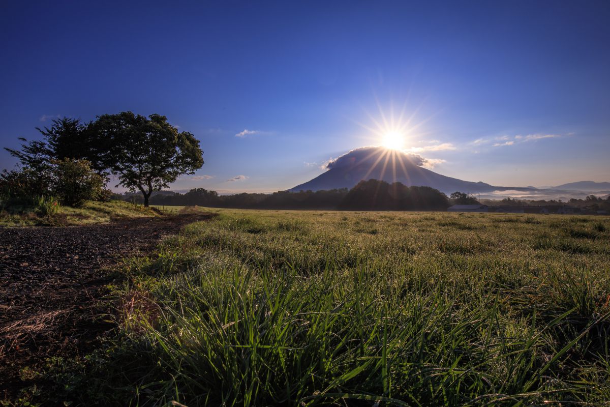 Diamond youtei | GANREF