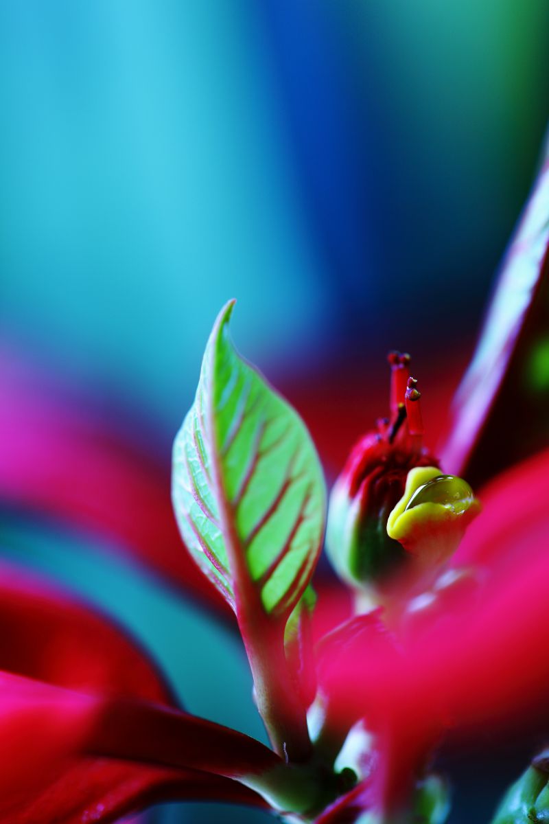 秘めたるpower.jpg | GANREF