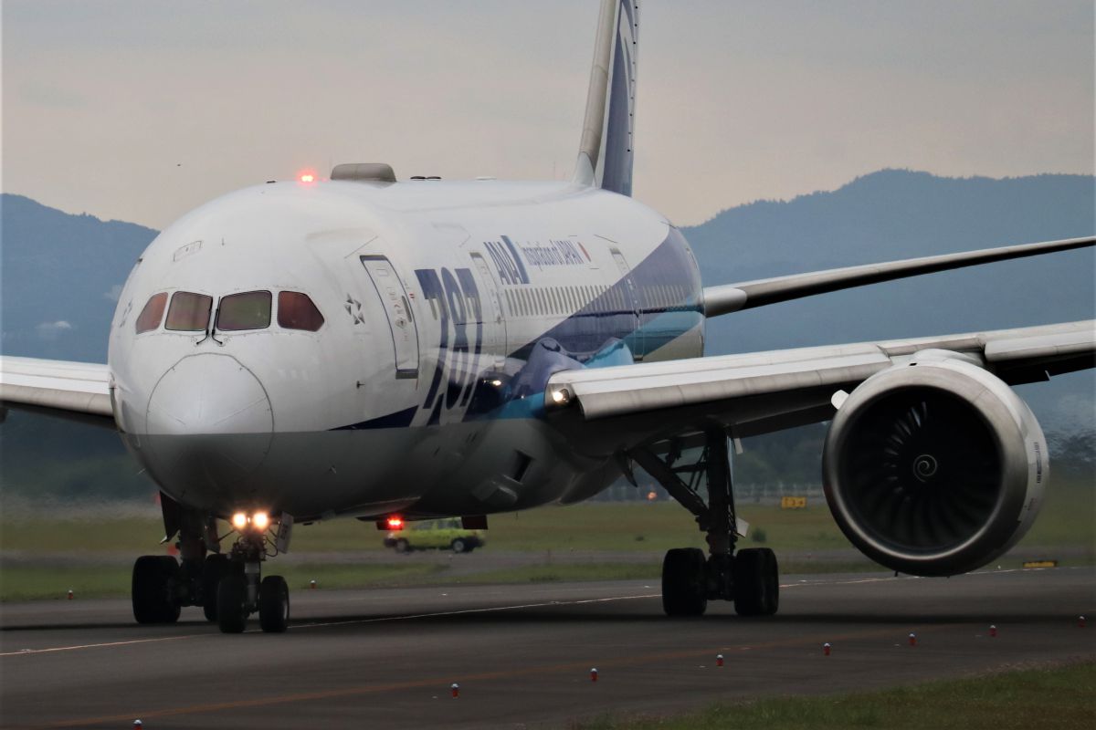 787タキシング | GANREF