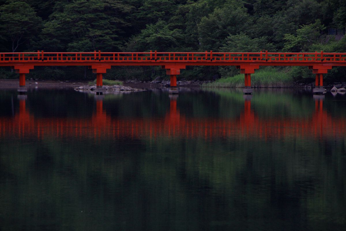 IMG_6621.JPG | GANREF