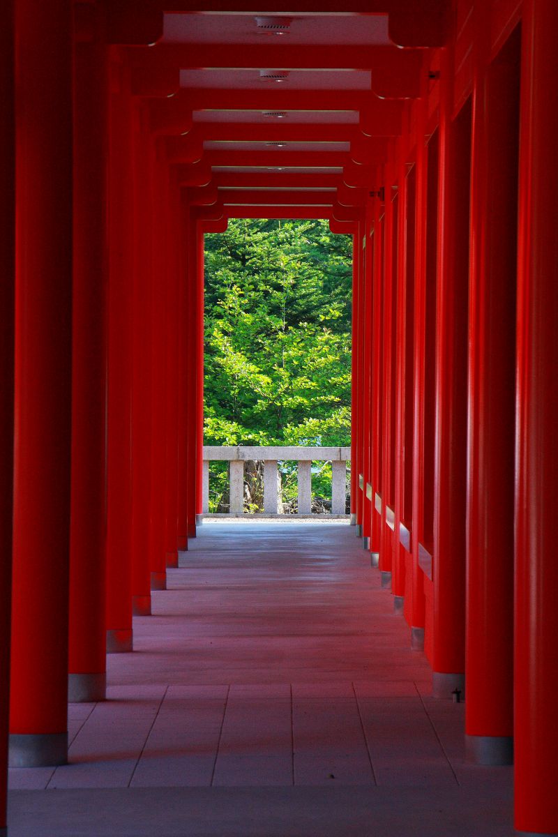 IMG_6397.JPG | GANREF