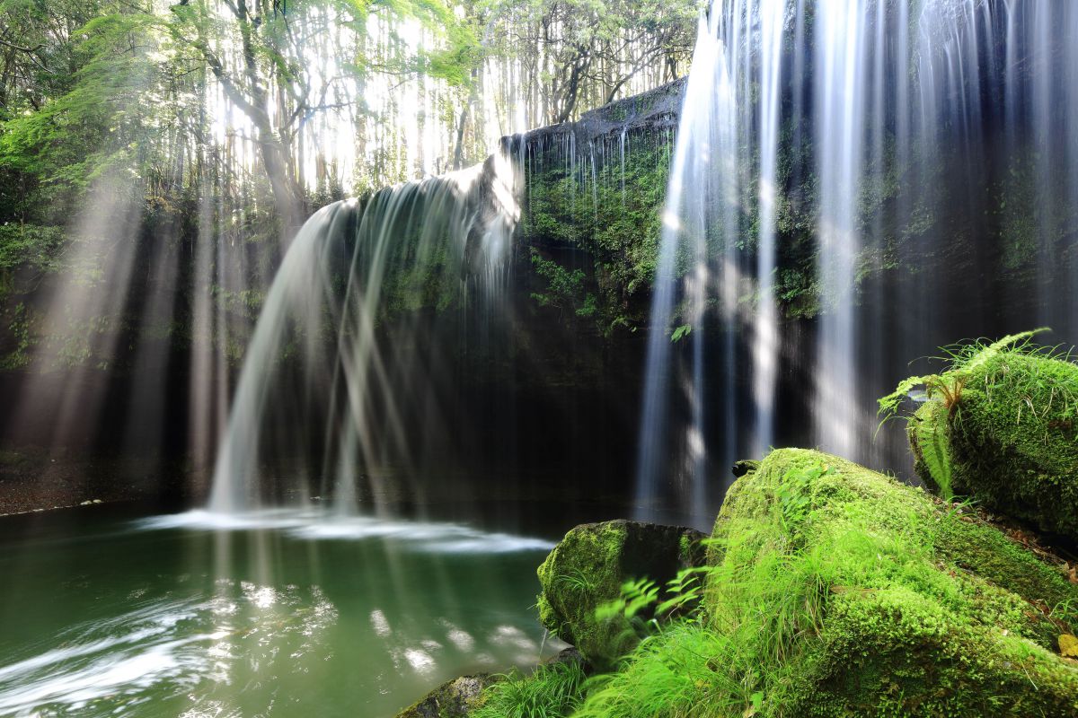 Sun Shower. | GANREF