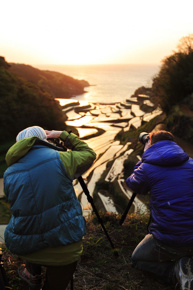 beautiful days. | GANREF