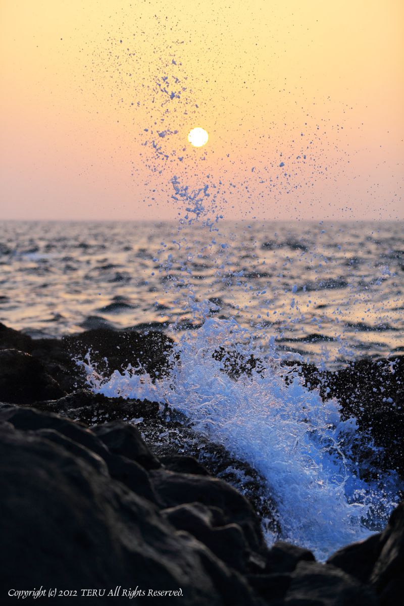 The beautiful world. | GANREF