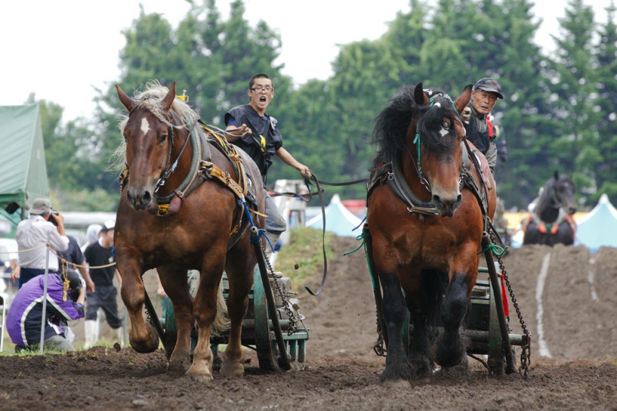 ゴールへ向けて | GANREF