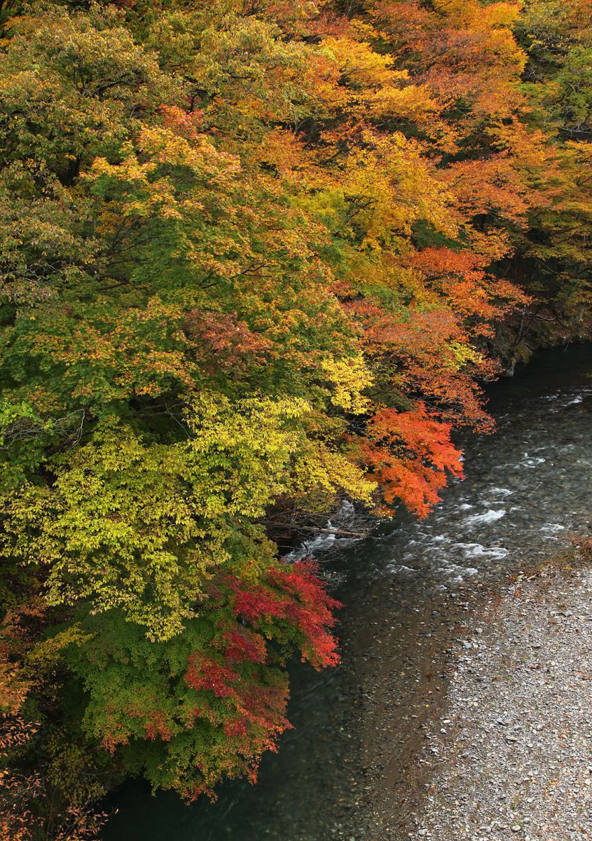 秋を流れる | GANREF