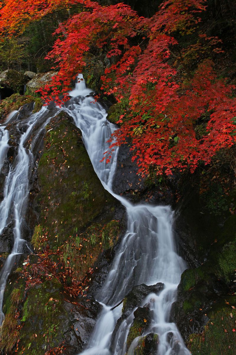 白き流れに | GANREF