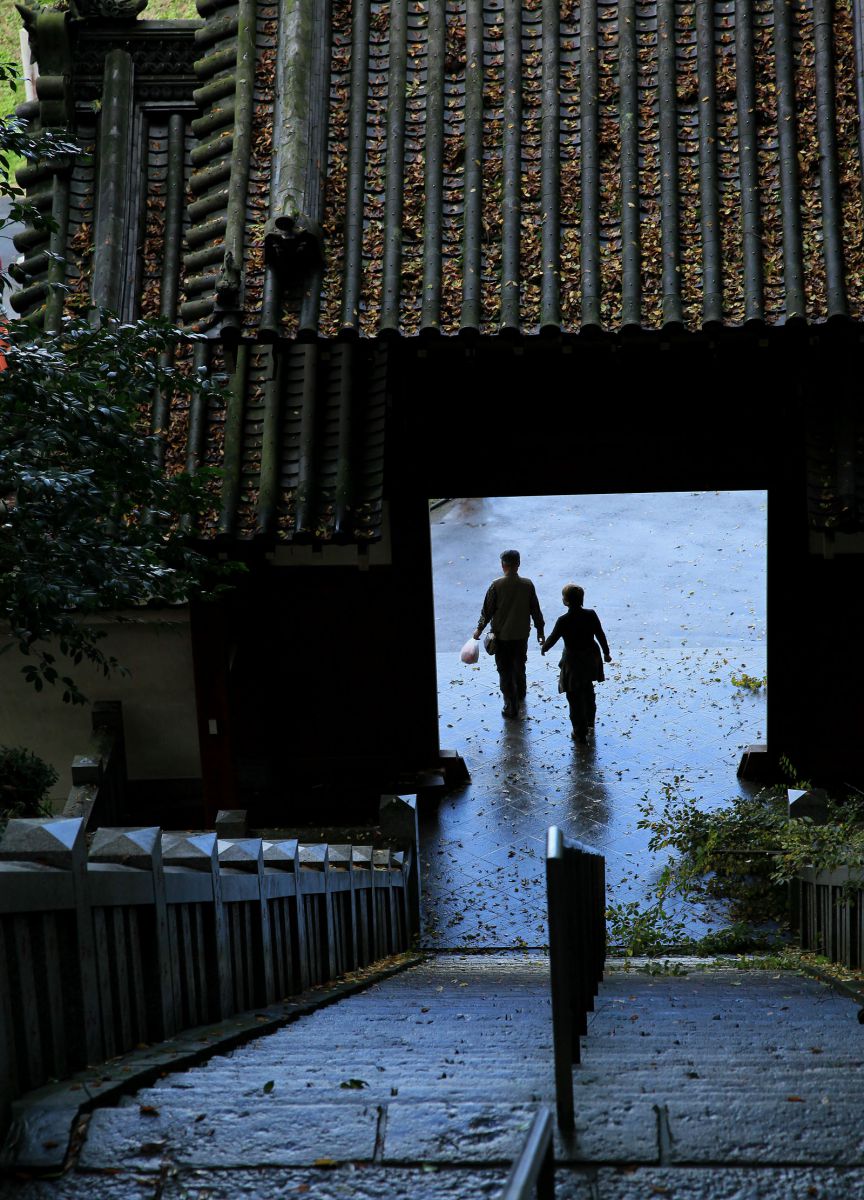 連れ添って | GANREF