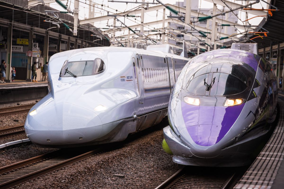 500 TYPE EVAとさくら | GANREF