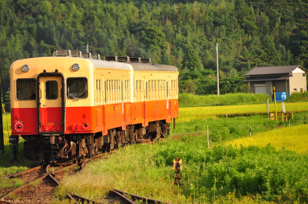 マイペース | GANREF